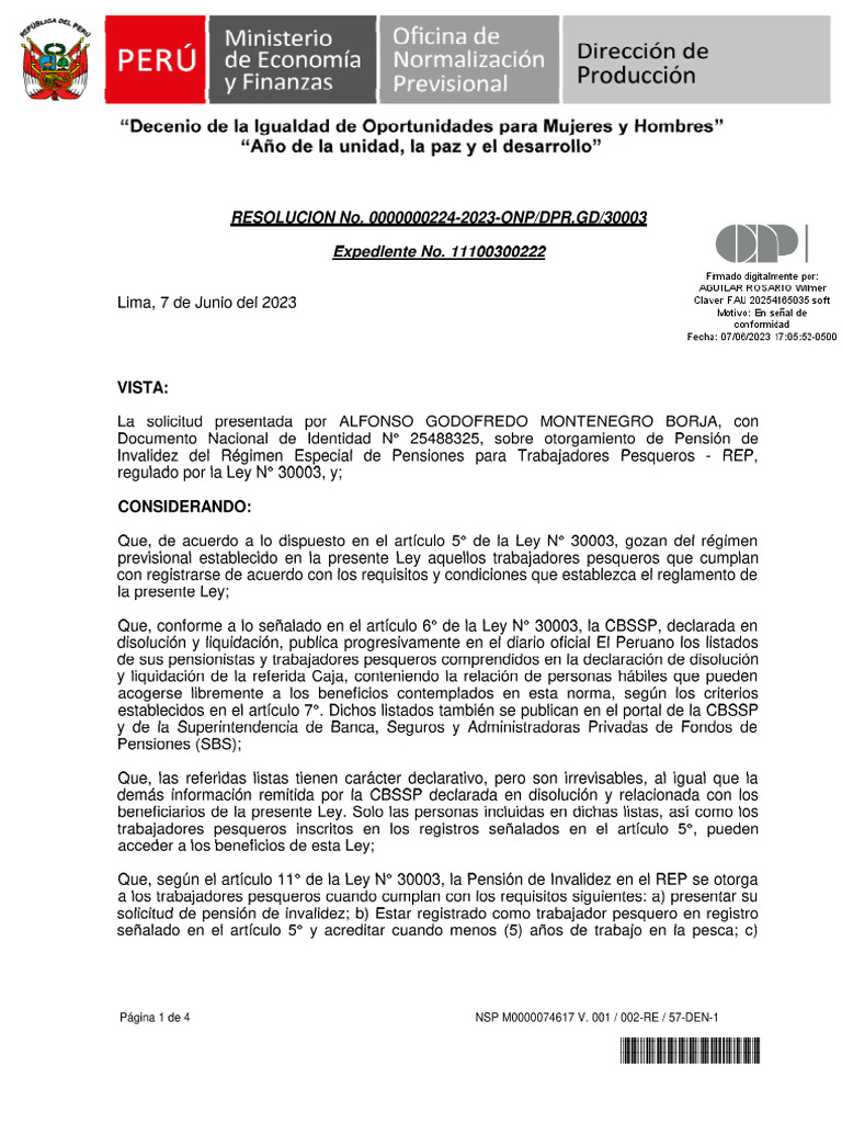 D09-Resolucion-F2 R | PDF