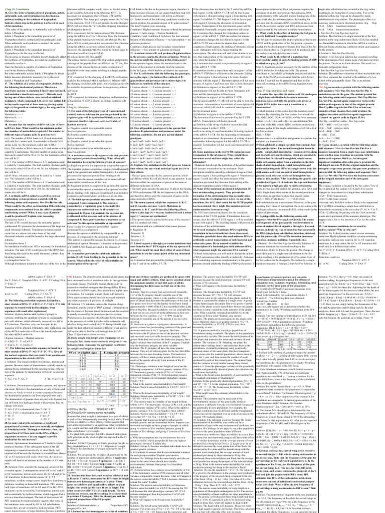 Genetics Final Review | PDF | Operon | Genetic Code