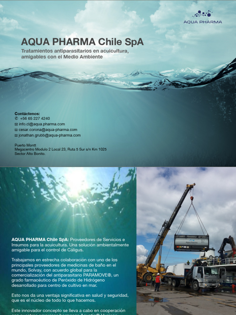 Chile L Bath Treatments L Brochure | PDF