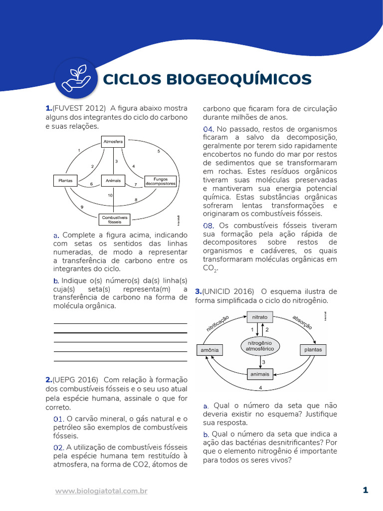 6 - Exercícios Aprofundados Ciclos Biogeoquímicos - 240125 - 164403 | PDF | Nitrogênio | Água