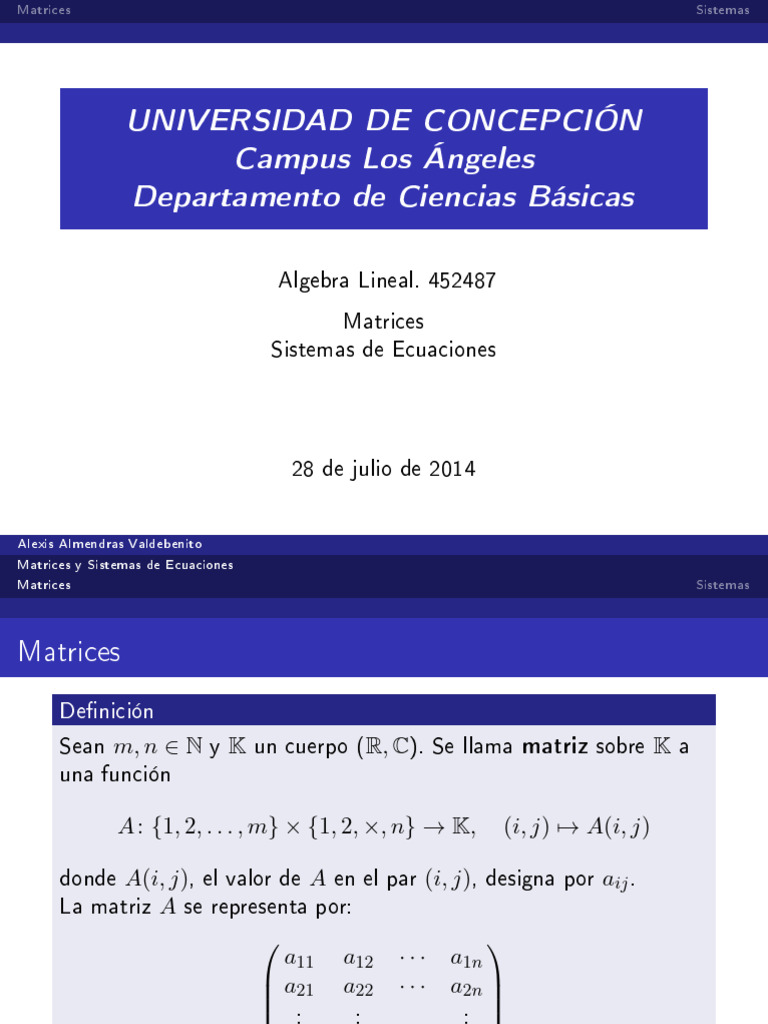 Matrices Y Sistemas De Ecuaciones Pdf Matriz Matemáticas 4707