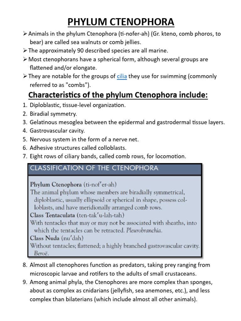 Phylum Ctenophora | PDF | Zoology | Biology