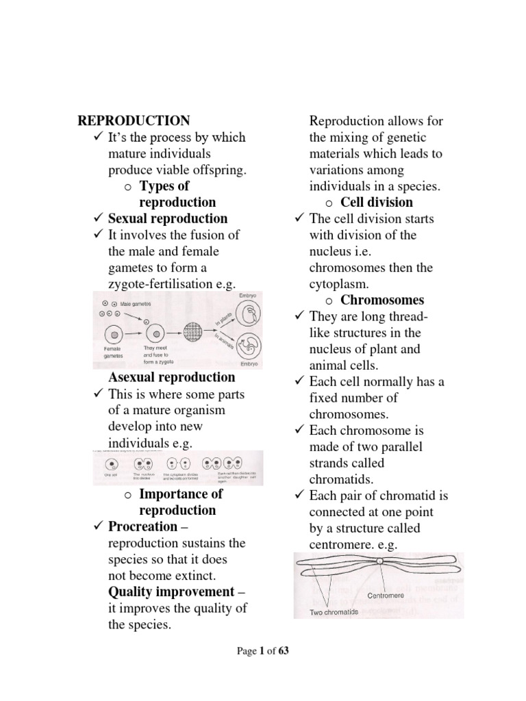 Reproduction | PDF | Meiosis | Flowers