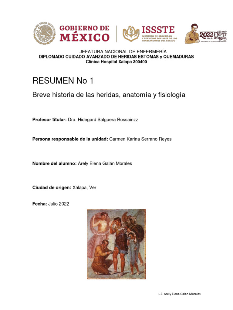 Breve Historia de Las Heridas | Descargar gratis PDF | Herida | Medicina