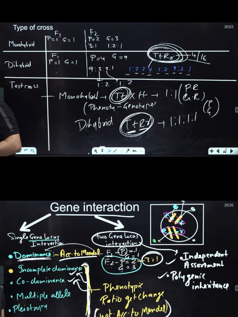 Principle of Inhertance and Variation PW | PDF