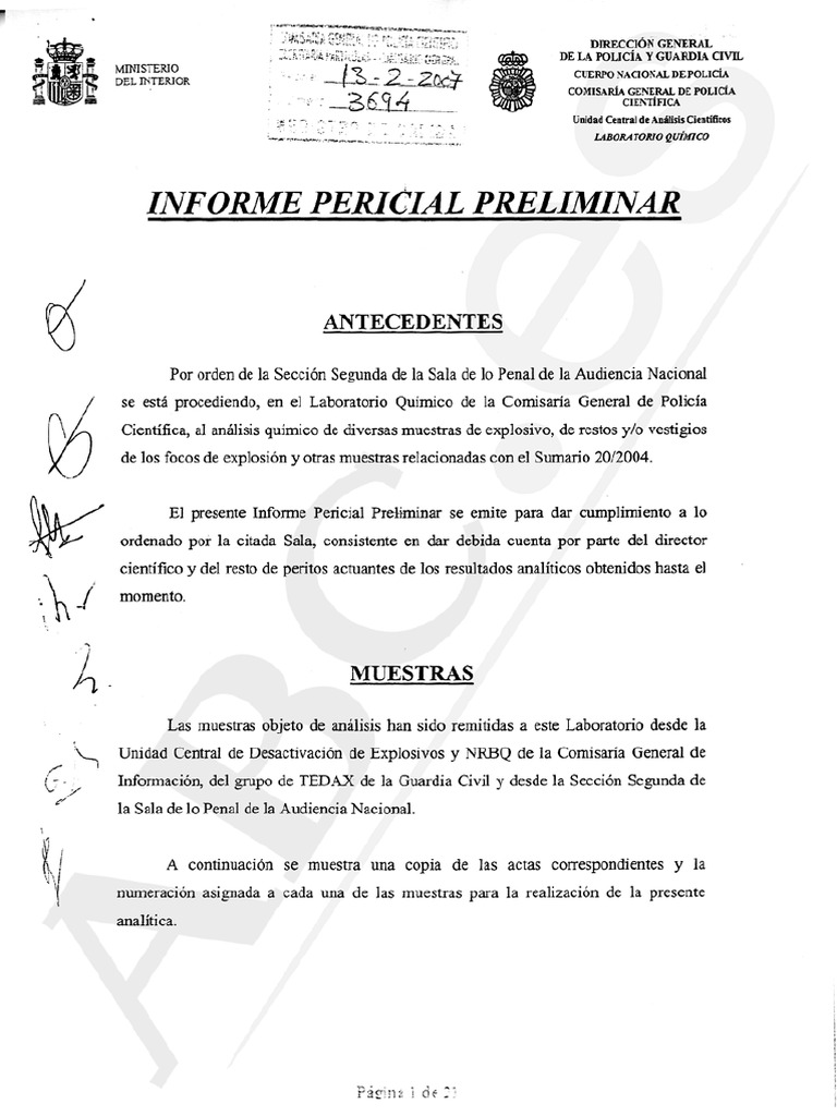 Informe Pericial Preliminar | PDF