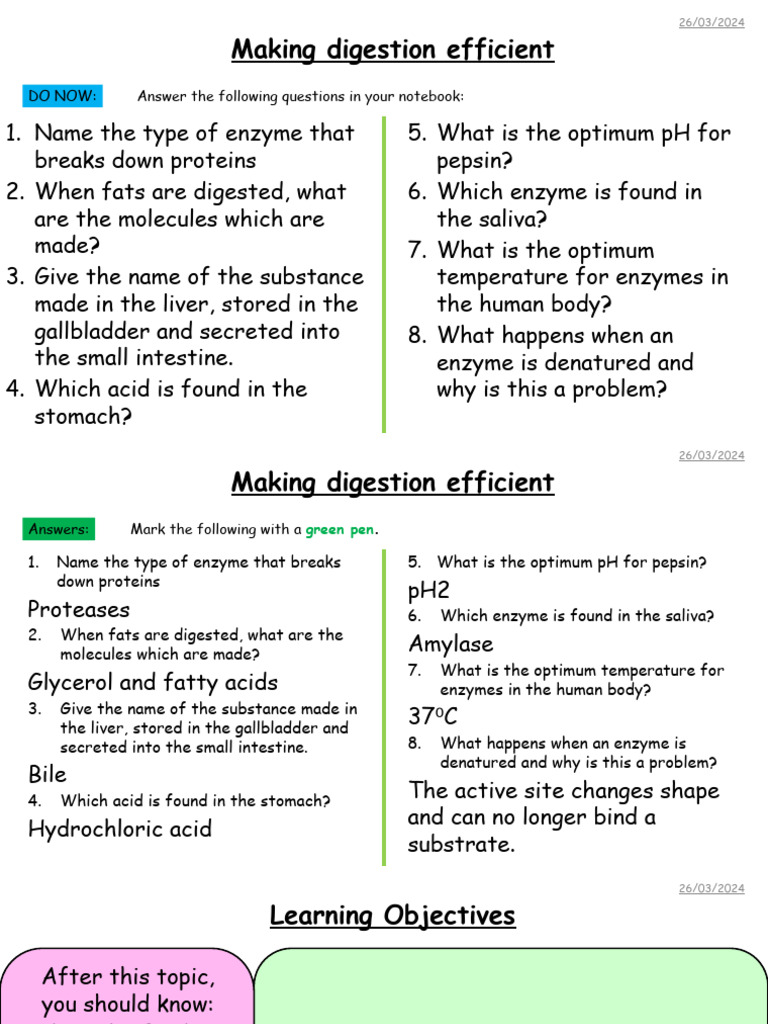 5 Making Digestion Efficient | PDF | Digestion | Stomach