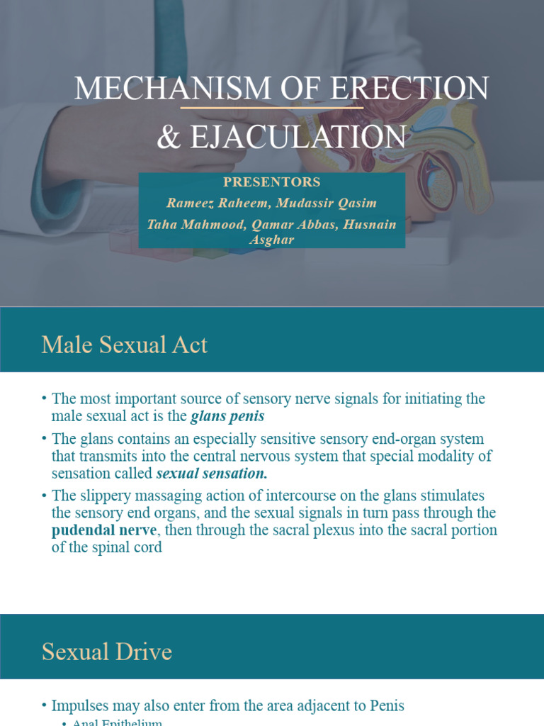 Mechanism of Erection & Ejaculation | PDF | Ejaculation | Prostate