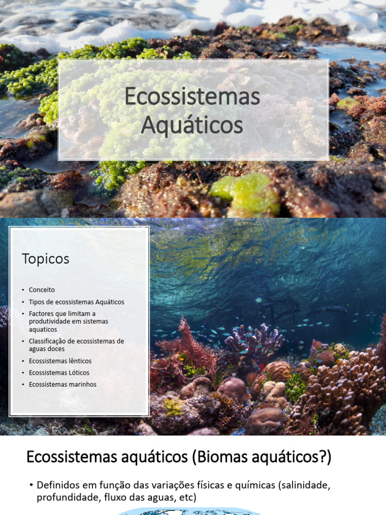 Tipos e Classificação de Ecossistemas Aquáticos | PDF | Ecossistema ...