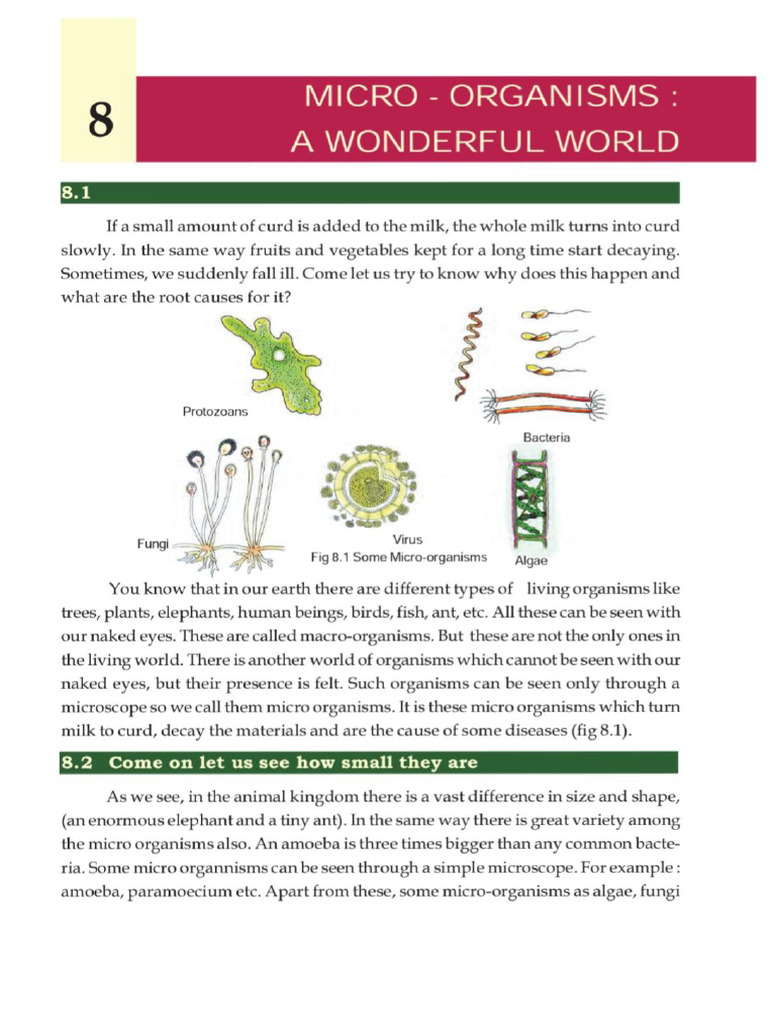 Microorganisms Textbook | PDF
