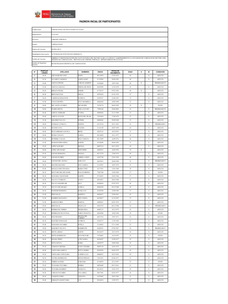 Padron Actualizado | PDF