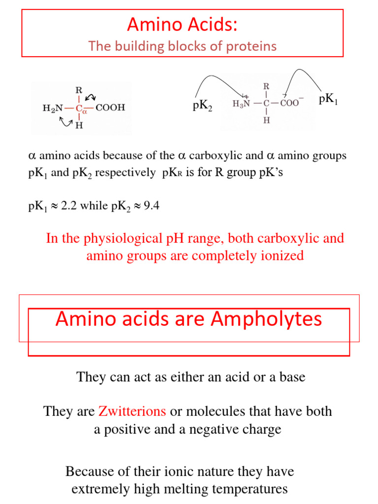 CY5106 2n Supramolecule | PDF | Amino Acid | Organic Chemistry