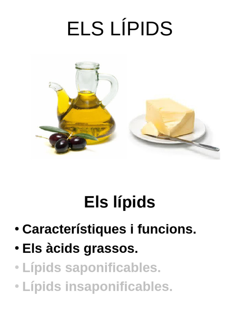 Lipids 1 | PDF