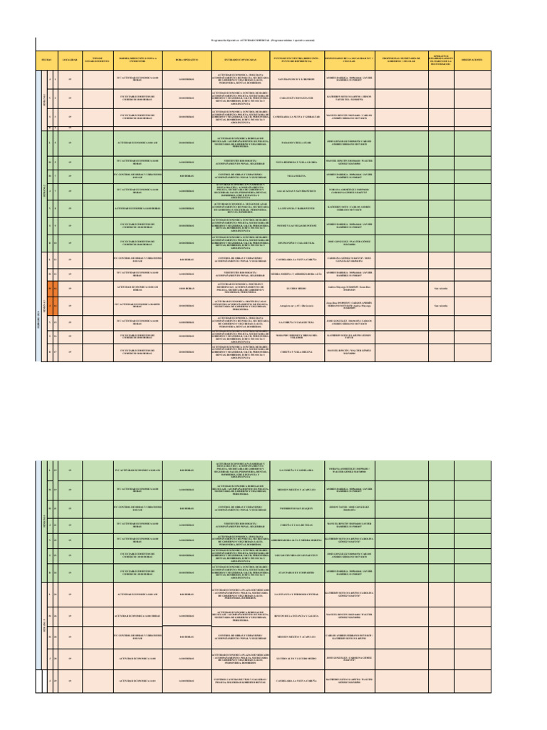1 Formato Programacion 2024 IVC Activdad Economica | PDF