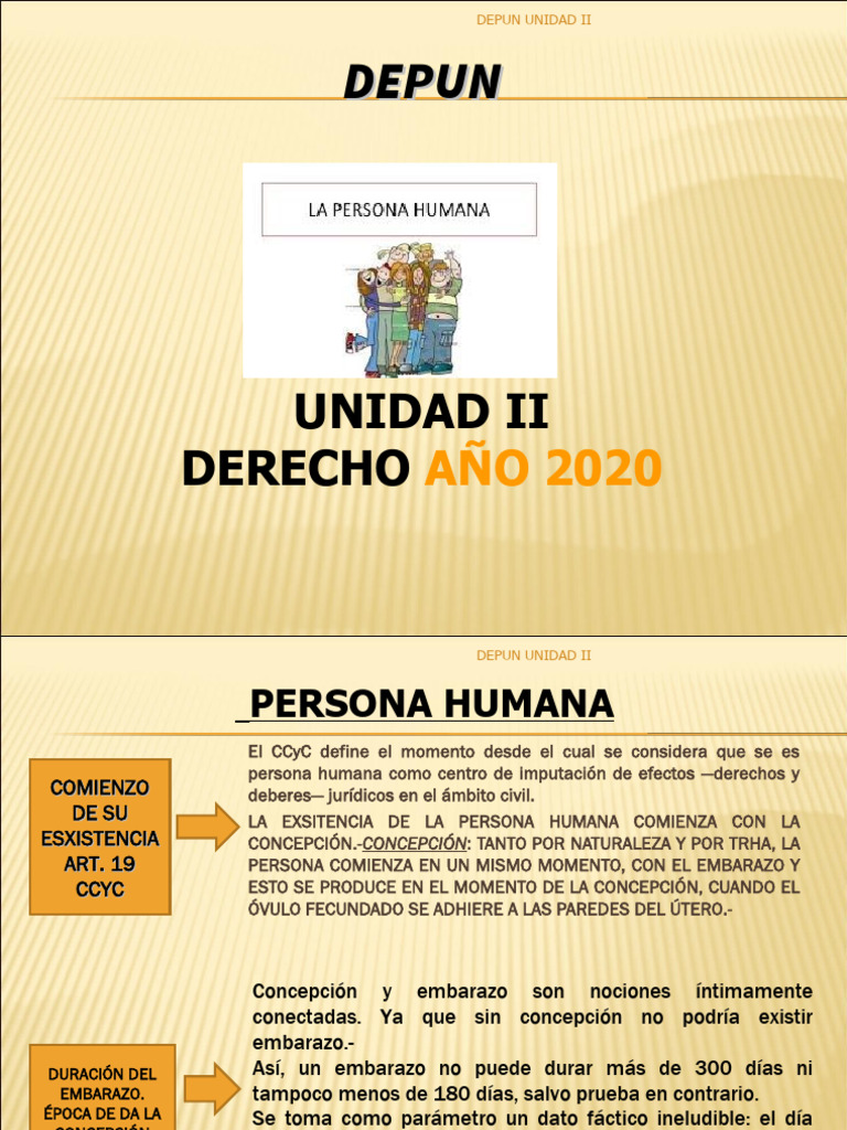 Clase Depun Unidad II Paula 1 | PDF | Bienes (Ley) | Guardián legal