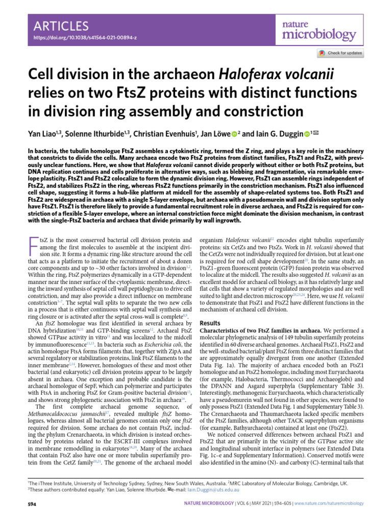 Cell Division in The Archaeon Haloferax Volcanii Relies On Two FTSZ ...