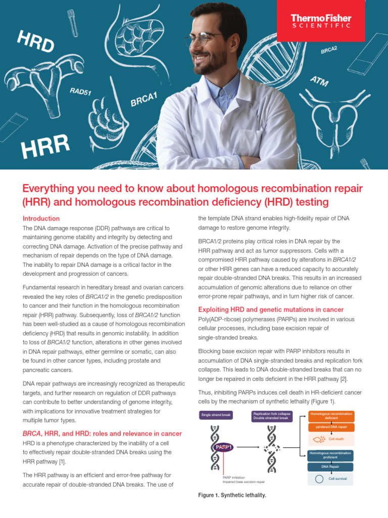 HRD Biomarker Guide | PDF