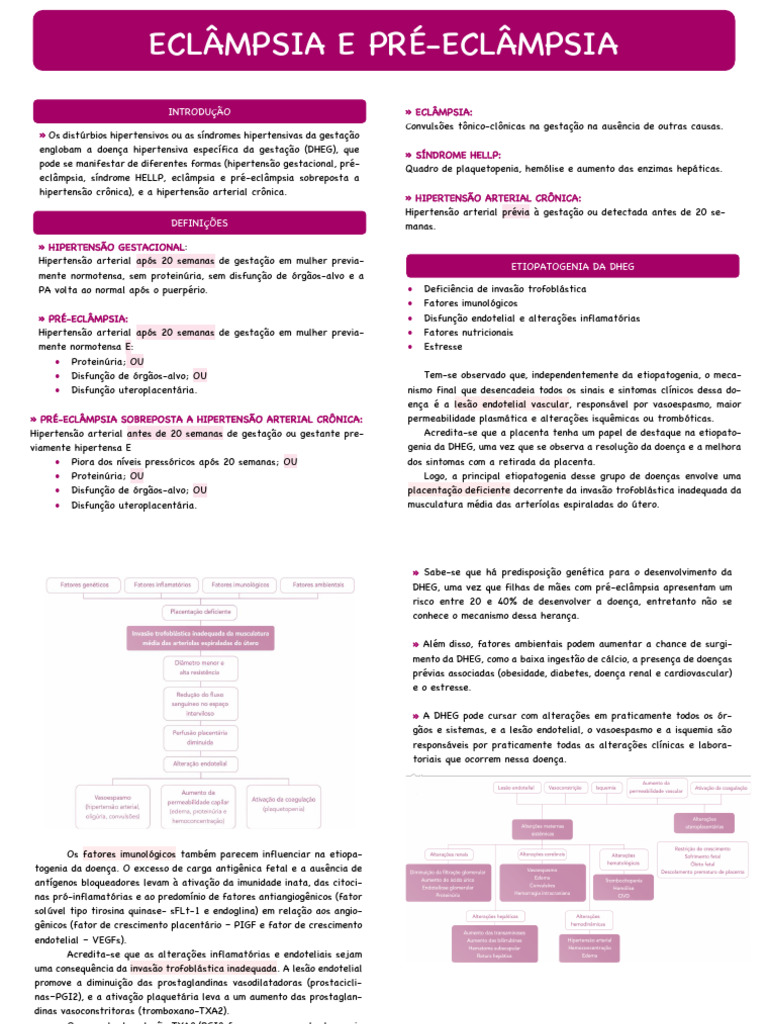 Eclâmpsia e Pré-Eclâmpsia | PDF | Hipertensão | Gravidez