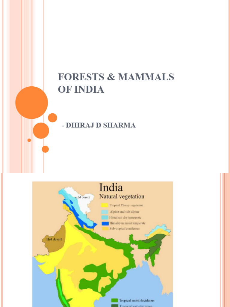 Types of Forests in India Explained | PDF | Forests | Tropics