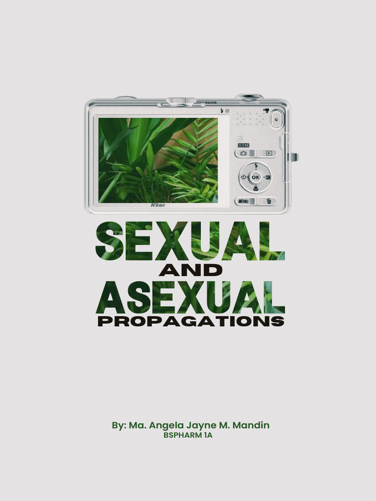 MANDIN - Infograph Sexual Propagation | PDF | Leaf | Botany