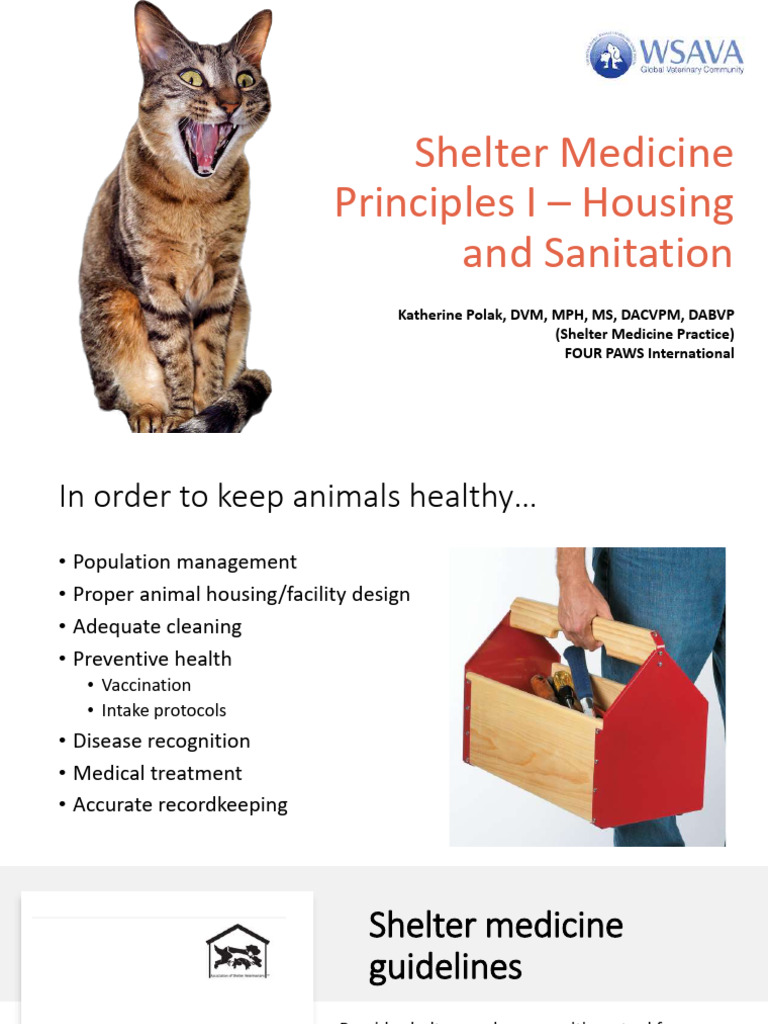 Shelter Medicine: Housing & Sanitation Guide | PDF | Disinfectant