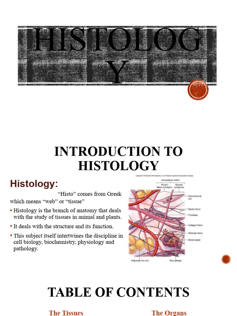 Introduction Epithelium Pdf Epithelium Cell Membrane