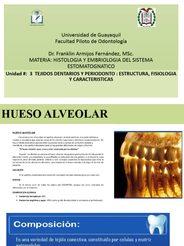 CLASE 10... HISTO UNID 3 HUESO ALVEOLAR | PDF