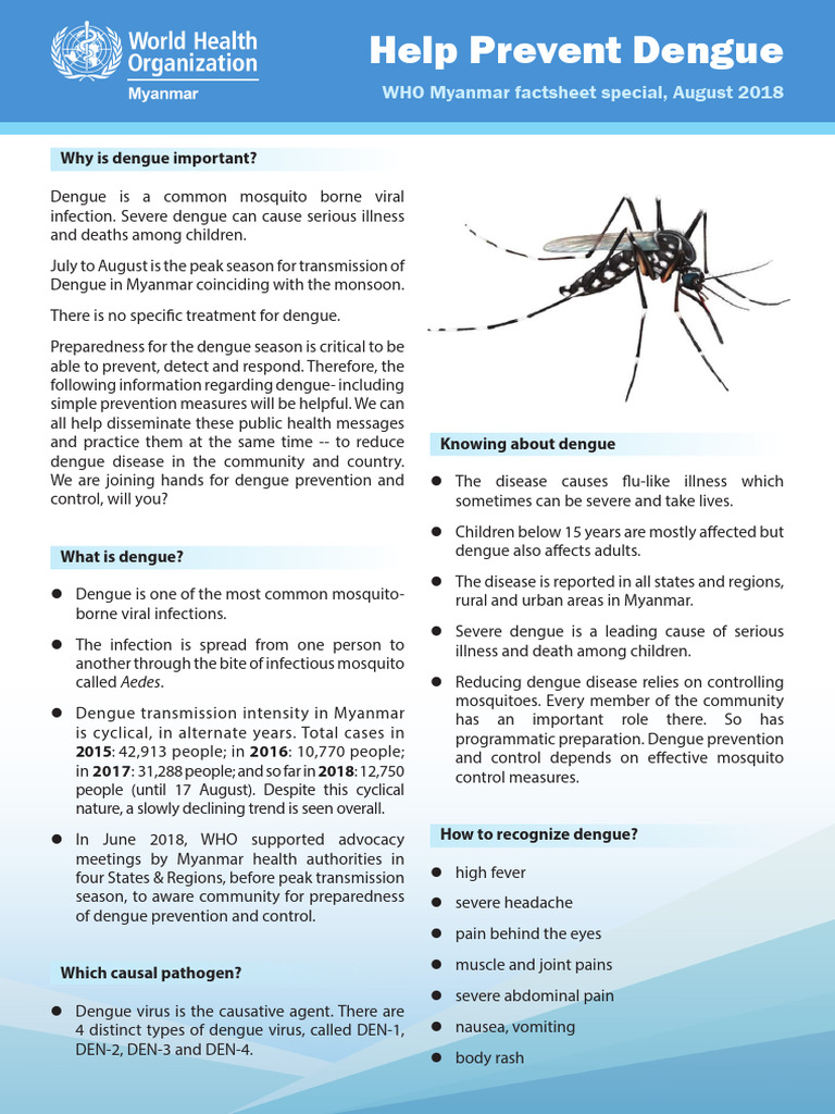 Dengue Prevention for Myanmar | PDF | Infection | Animal Diseases