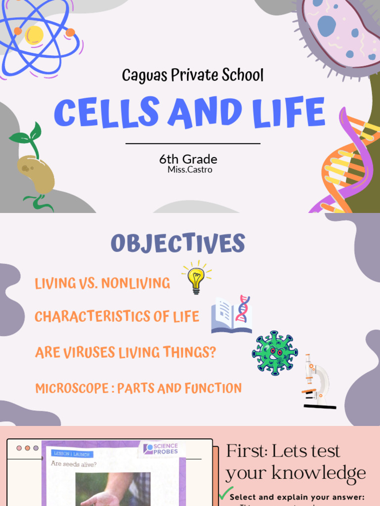 Cells and Life | PDF | Biology | Life Sciences