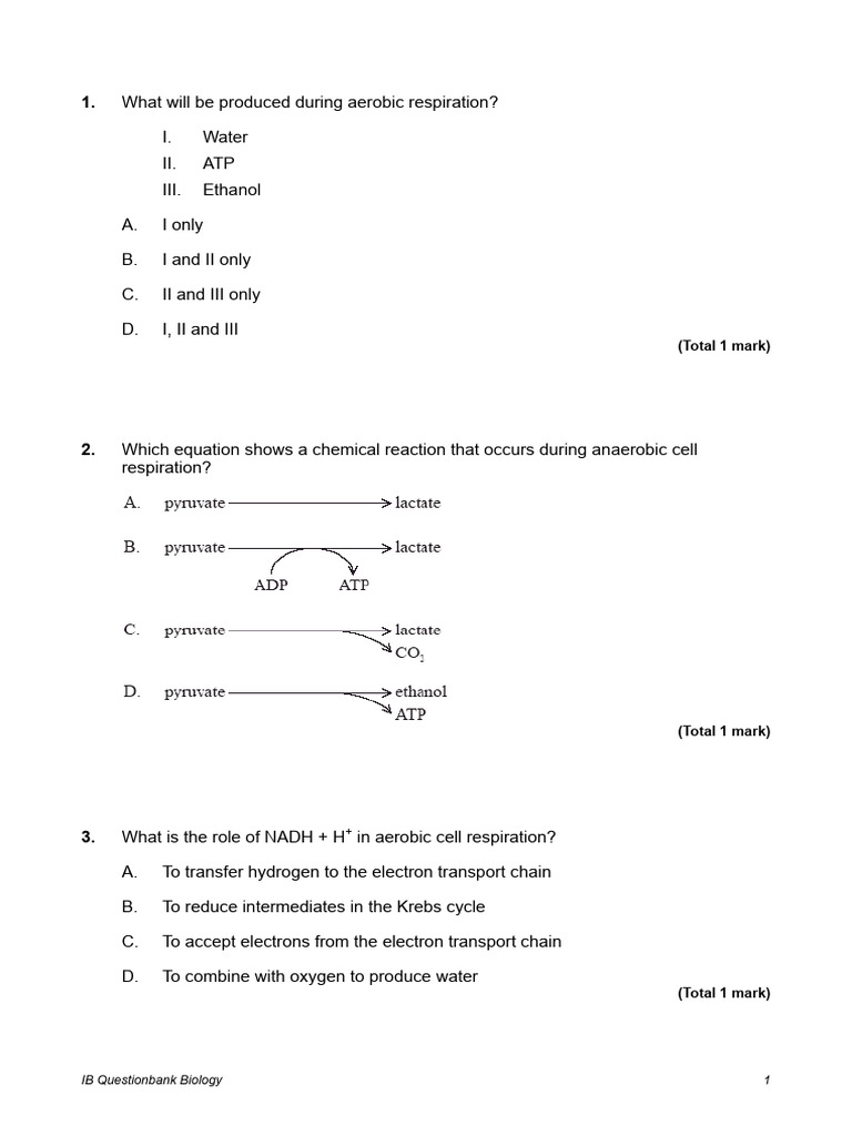 Cell Respiration Revision Questions | PDF | Cellular Respiration ...