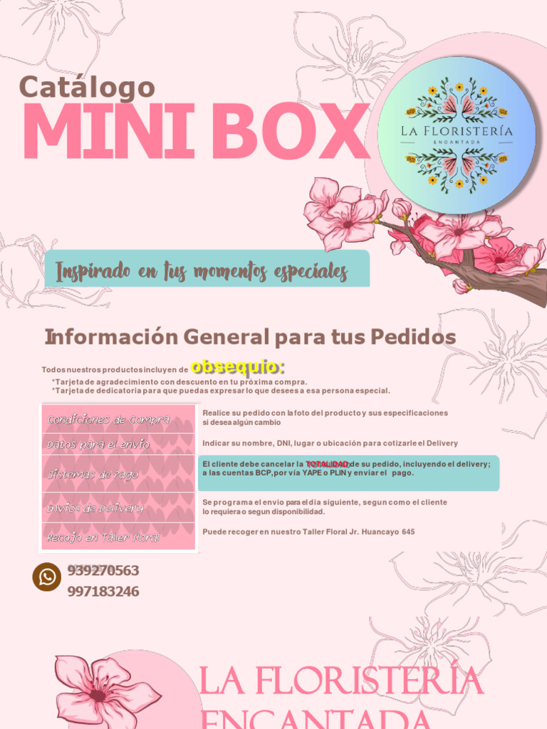 Catalogo Mini Box Cutunilla Detalles | PDF
