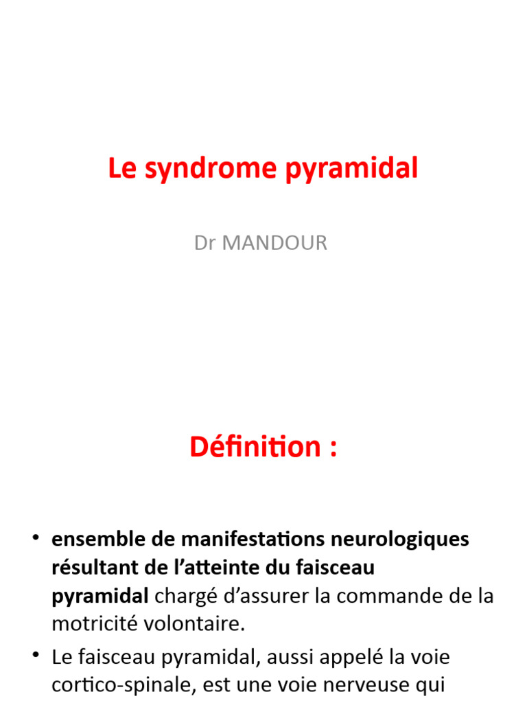 4 Le Syndrome Pyramidal | PDF | Nerf | Système nerveux