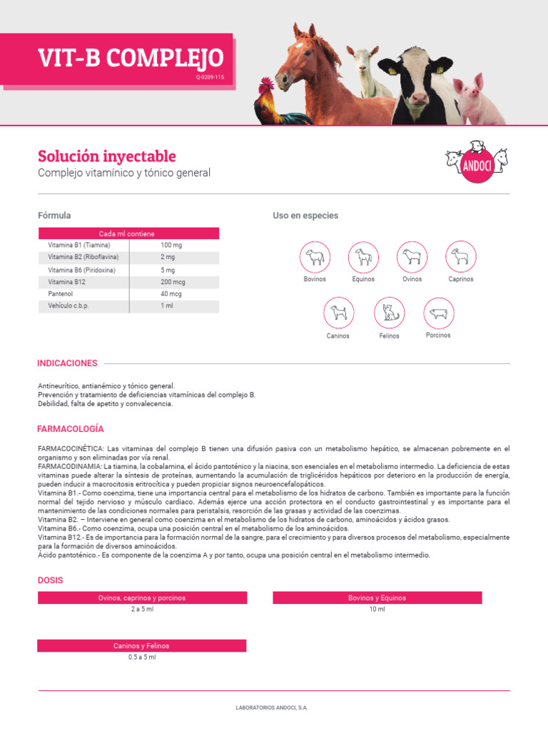 ANDOCI-VitB Espanol | PDF | Vitamina | Metabolismo