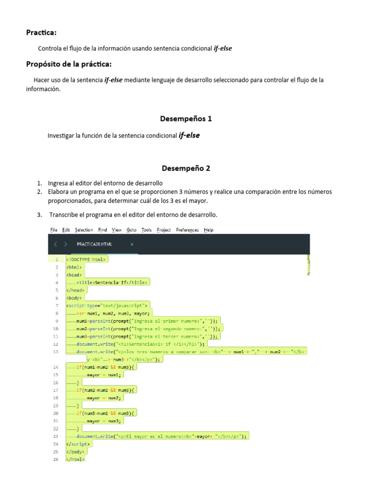 Práctica de If-Else en Programación | PDF