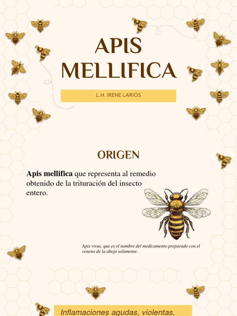 Guía de Apis Mellifica: Usos y Síntomas | PDF | Enfermedades y ...