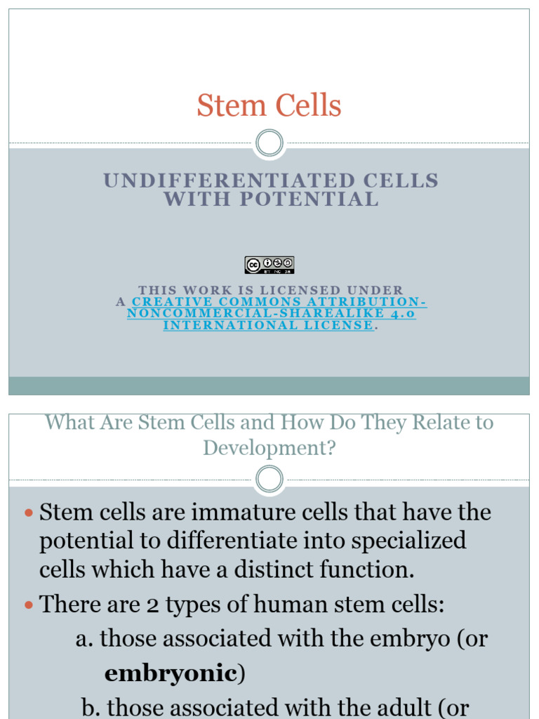 10b. Stem Cells - PowerPoint | PDF | Stem Cell | Embryo