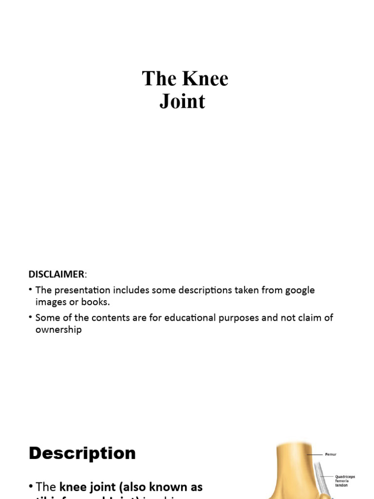 The Knee Joint and Popliteal Fossa | PDF | Knee | Lower Limb Anatomy