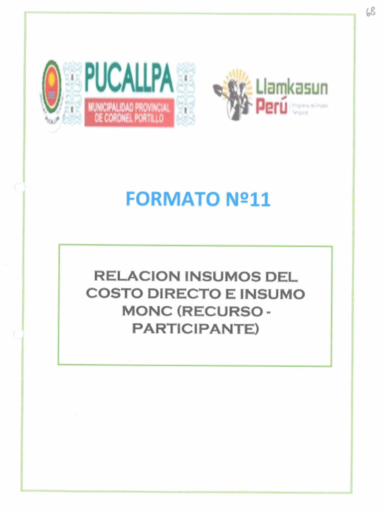 Formato N°11 | PDF