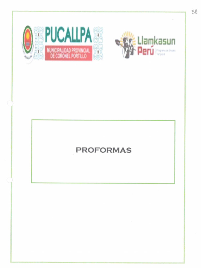 PROFORMAS | PDF
