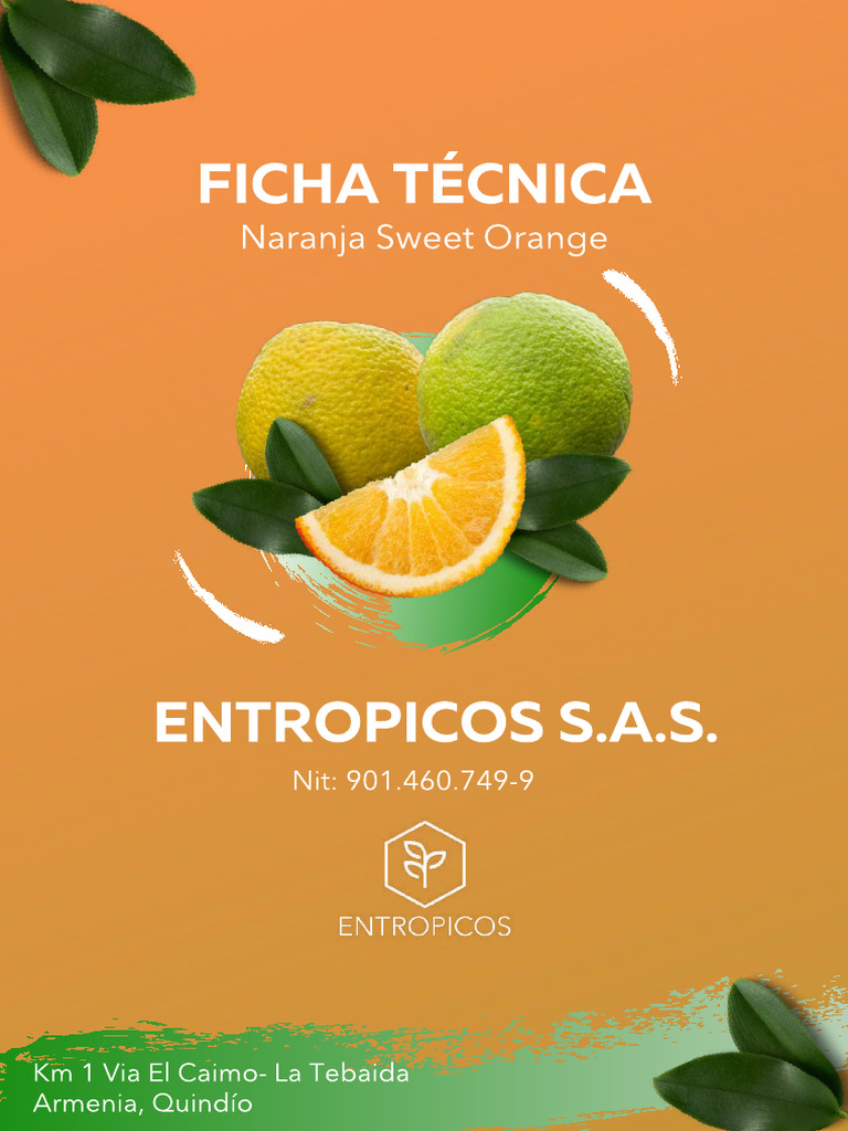 Ficha Técnica Naranja Sweet Orange | PDF | Naranja) | Cosecha