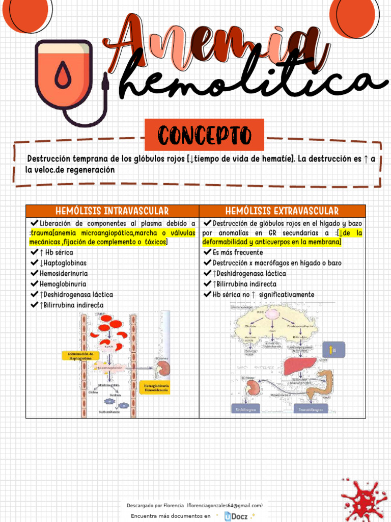 Anemia Hemolítica: Tipos y Diagnóstico | PDF | Glóbulo rojo | Vertebrados