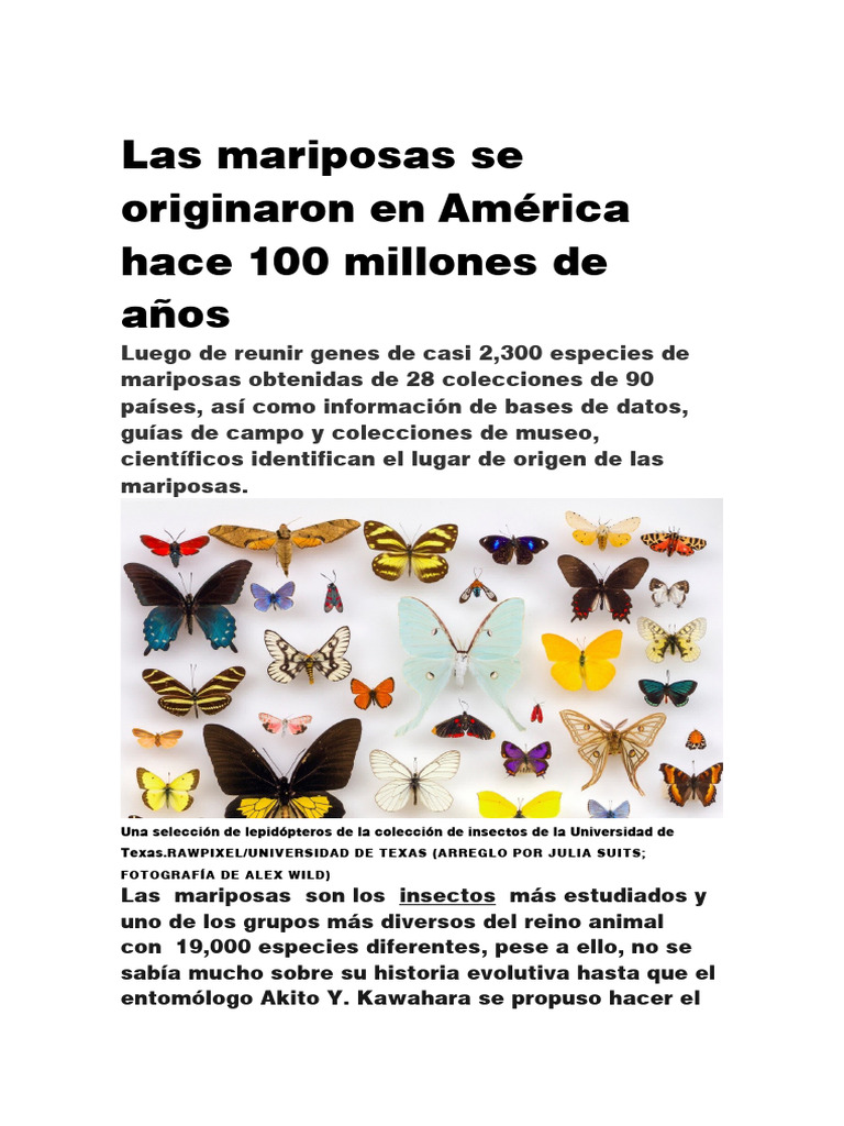 Origen de las Mariposas en América | PDF