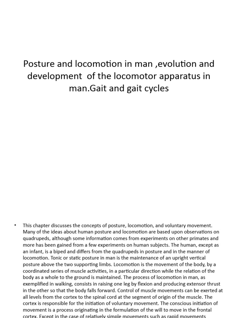 Human Locomotion and Posture | PDF | Pelvis | Human Leg