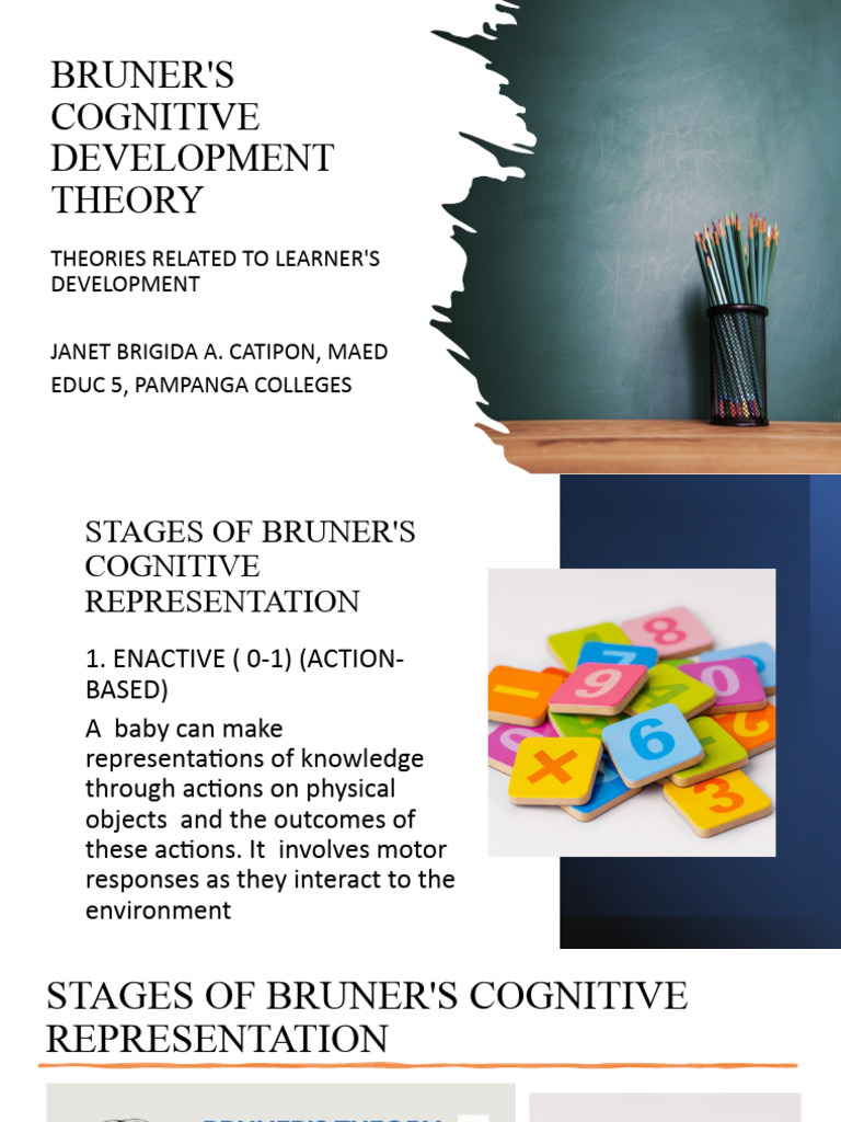Bruner's Stages of Cognitive Development | PDF | Learning | Cognition