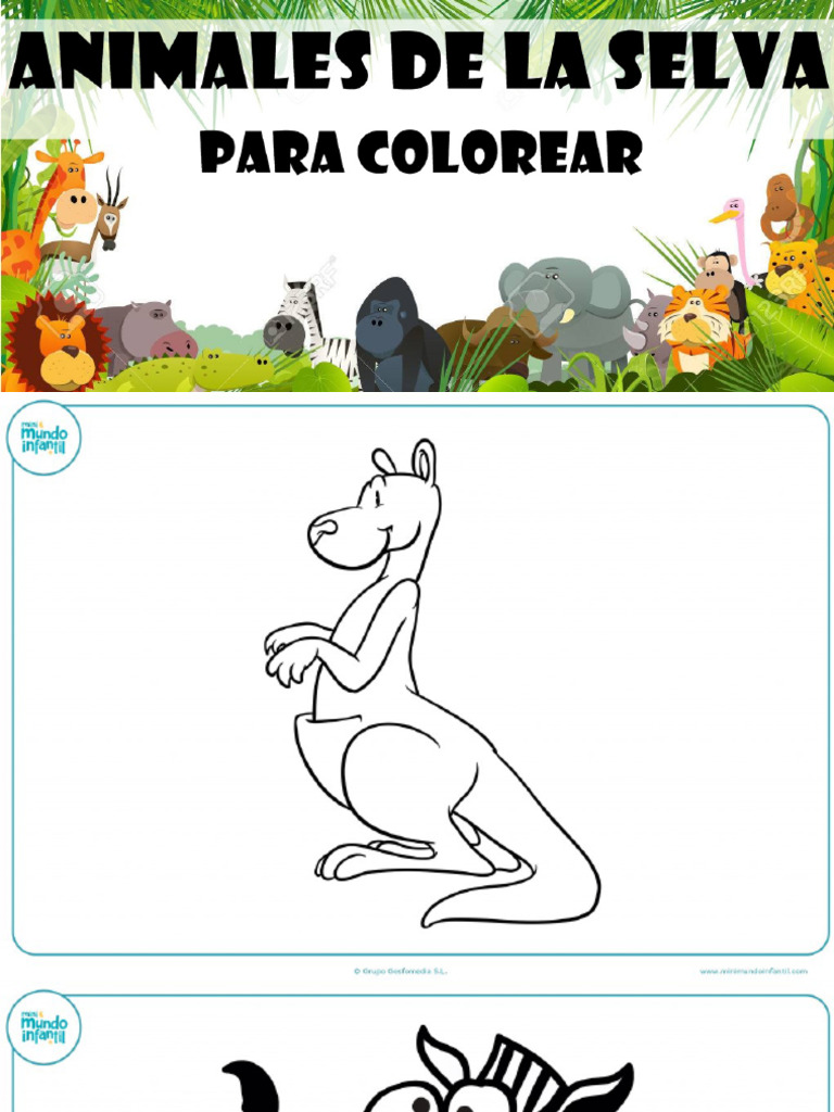 animales de la selva para colorear | PDF