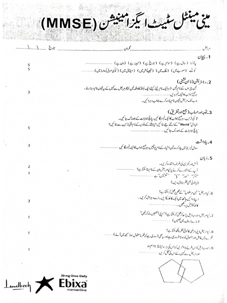 MMSE Urdu Version | PDF