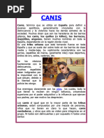 Chonis y Canis: Tribu Urbana 2000 | PDF