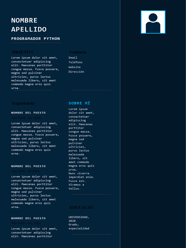 CV Programadores | PDF