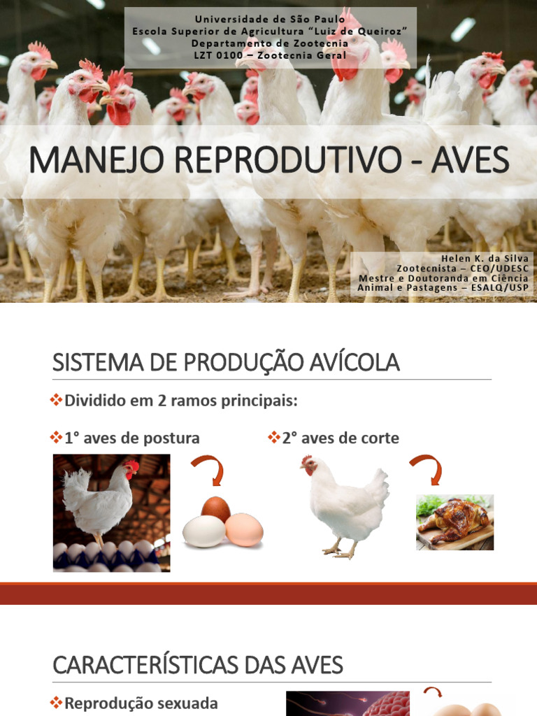Manejo Reprodutivo Aves | PDF | Sistema reprodutivo | Fertilização