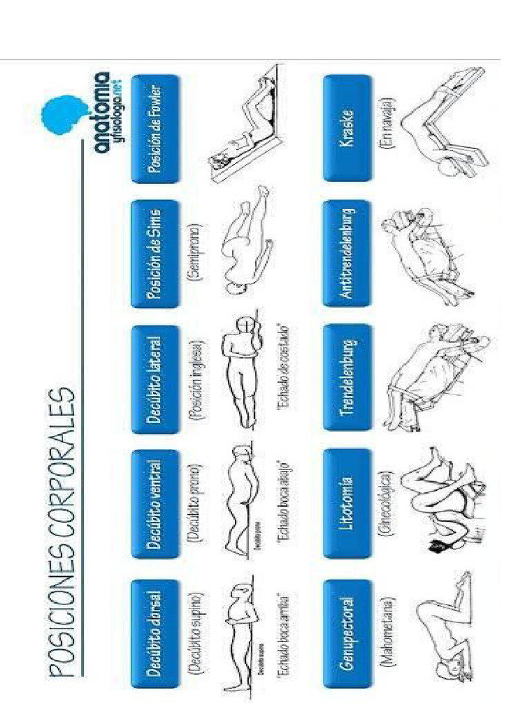 Documento (2) (3) | PDF